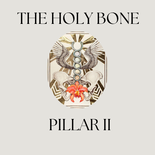 The Holy Bone - Pillar Two – Unseen Anatomy